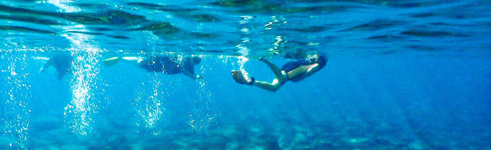 freedom-fast-cats-snorkelling - Freedom Fast Cats